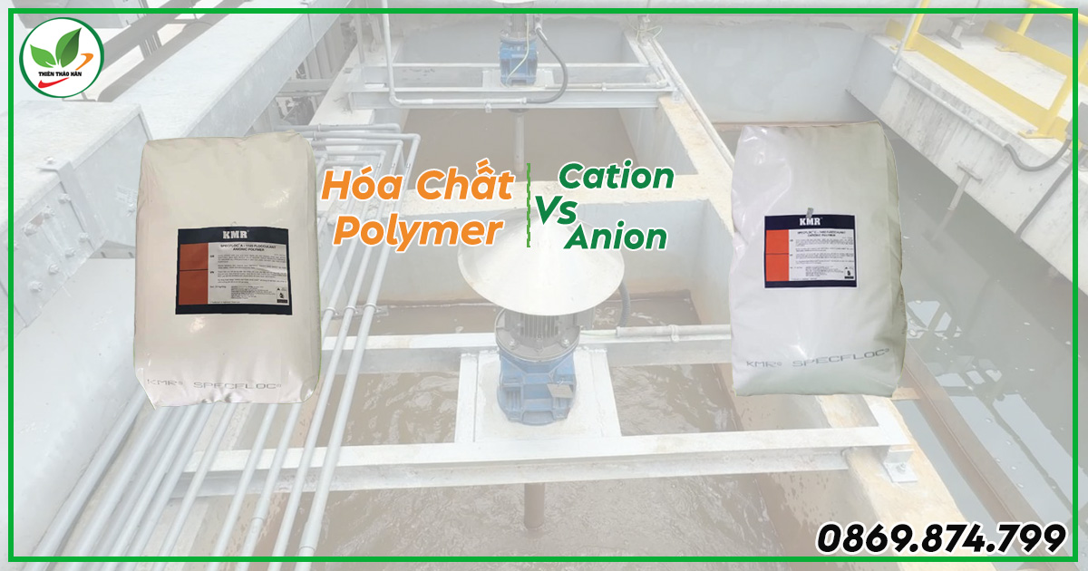 Sự khác biệt giữa Polymer Cation và Anion lựa chọn nào tối ưu?